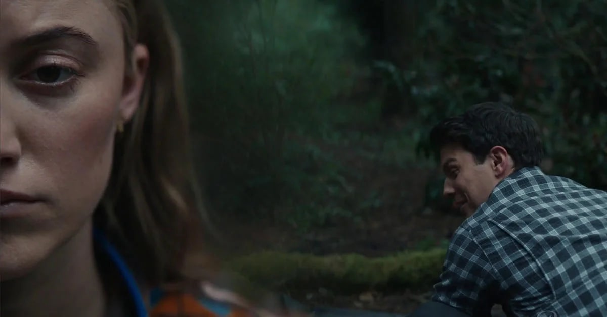 Significant Other Ending, Explained: Are Harry and Ruth Dead?