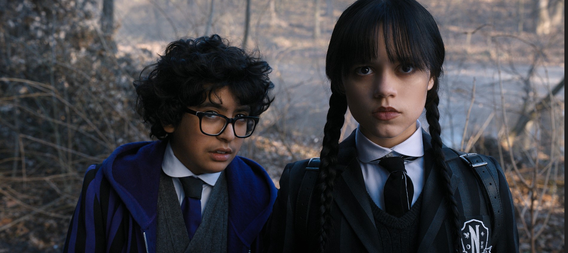 The Meaning of Wednesday's Visions, Explained