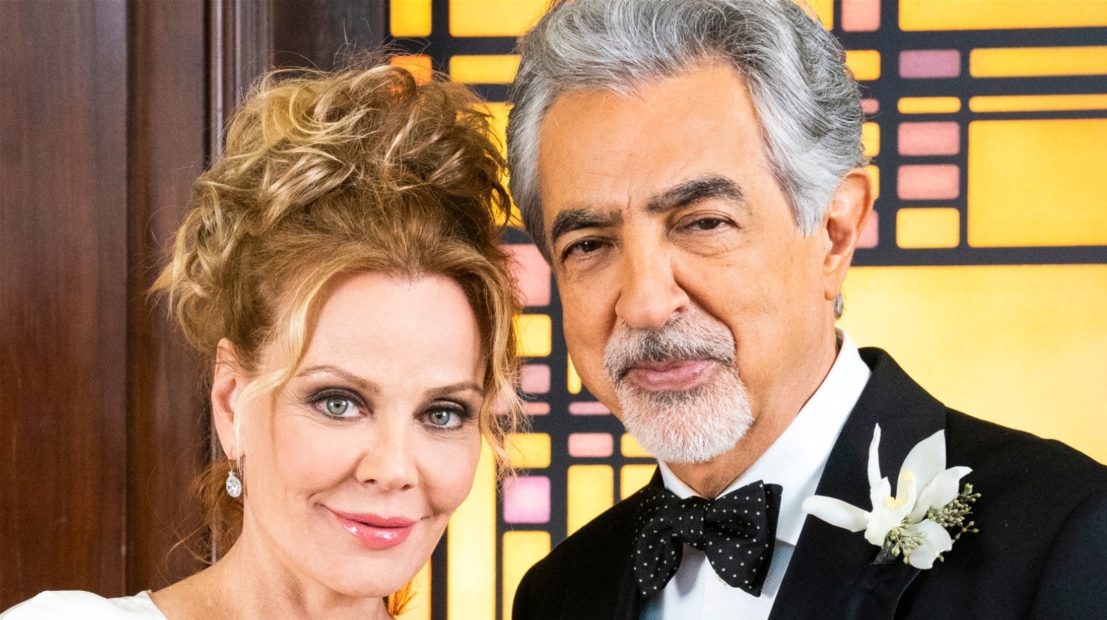 What Happened to David Rossi's Wife Krystall in Criminal Minds: Evolution?