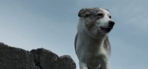 The Vanishing (2018) Ending, Explained: Why Did Thomas Kill James?