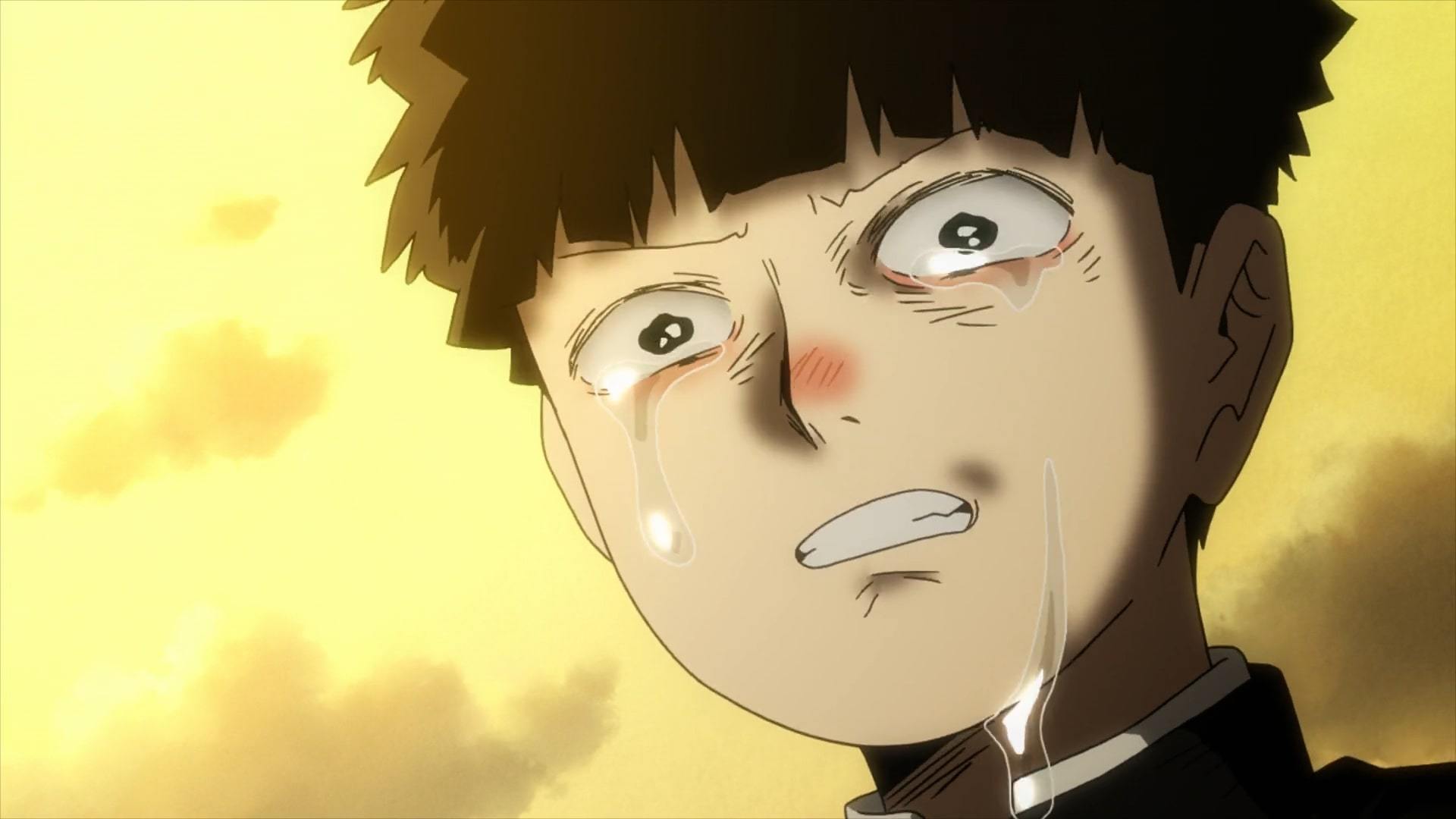 Mob Psycho Season 3 Ending Explained Does Tsubomi Accept Mobs Proposal 5927