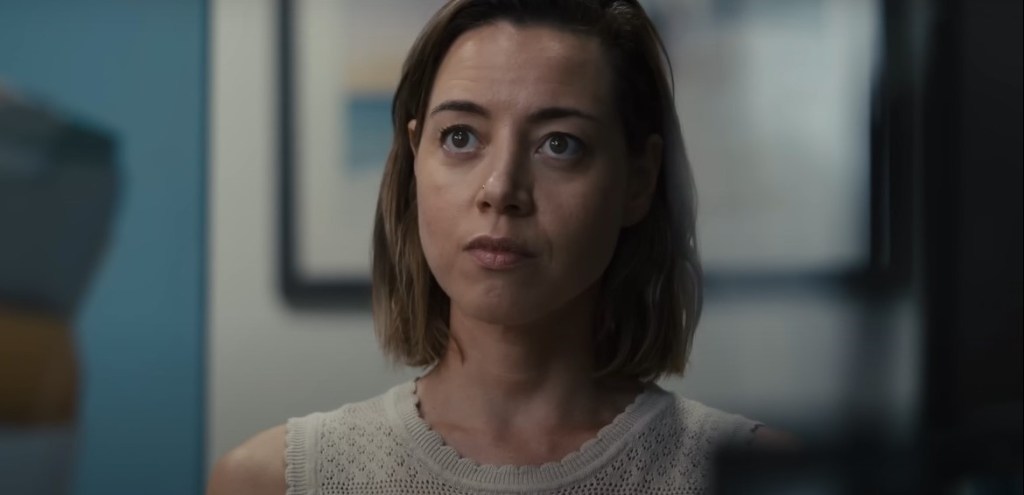 Emily the Criminal: Is the Movie Based on a True Story?