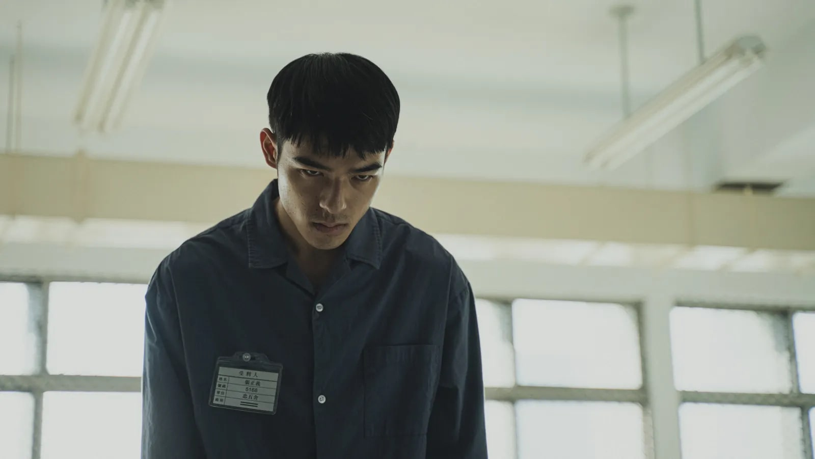 The Post-Truth World: Is the Movie Based on a True Story or a Book?