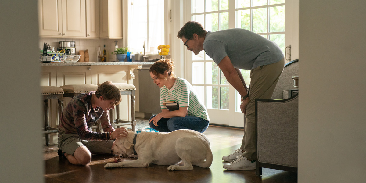Is Dog Gone's Gonker Real or CGI? What Breed Is He? Did He Have Addison ...