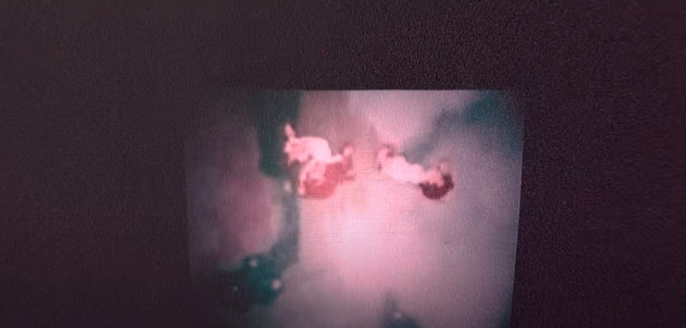 Skinamarink: Is the Movie Based on Real Horror Events?