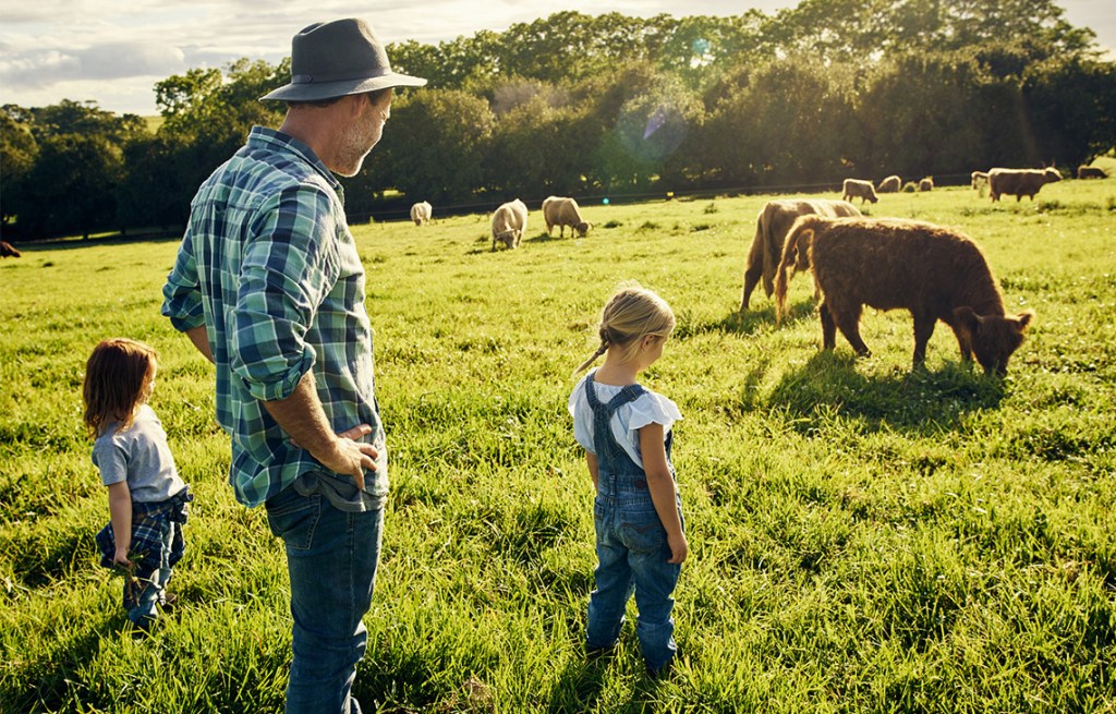 Clarkson's Farm: 8 Similar Shows You Must See