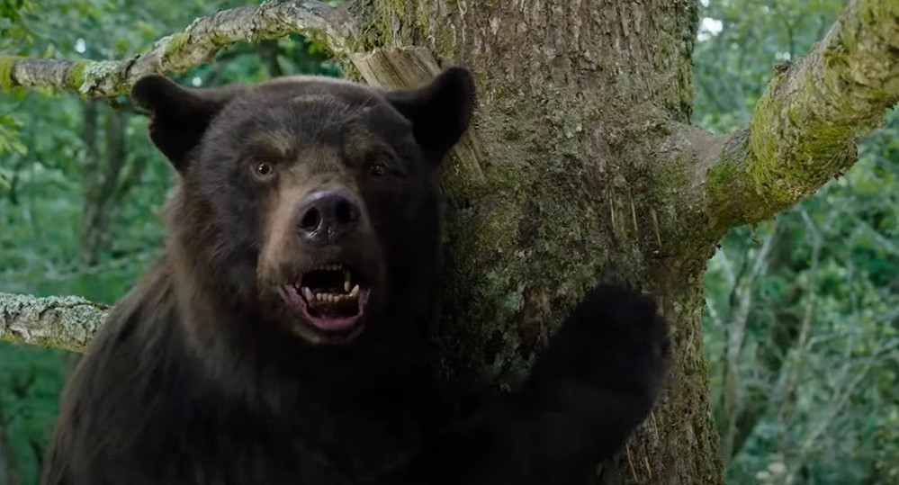 Cocaine Bear: All Shooting Locations of the Movie