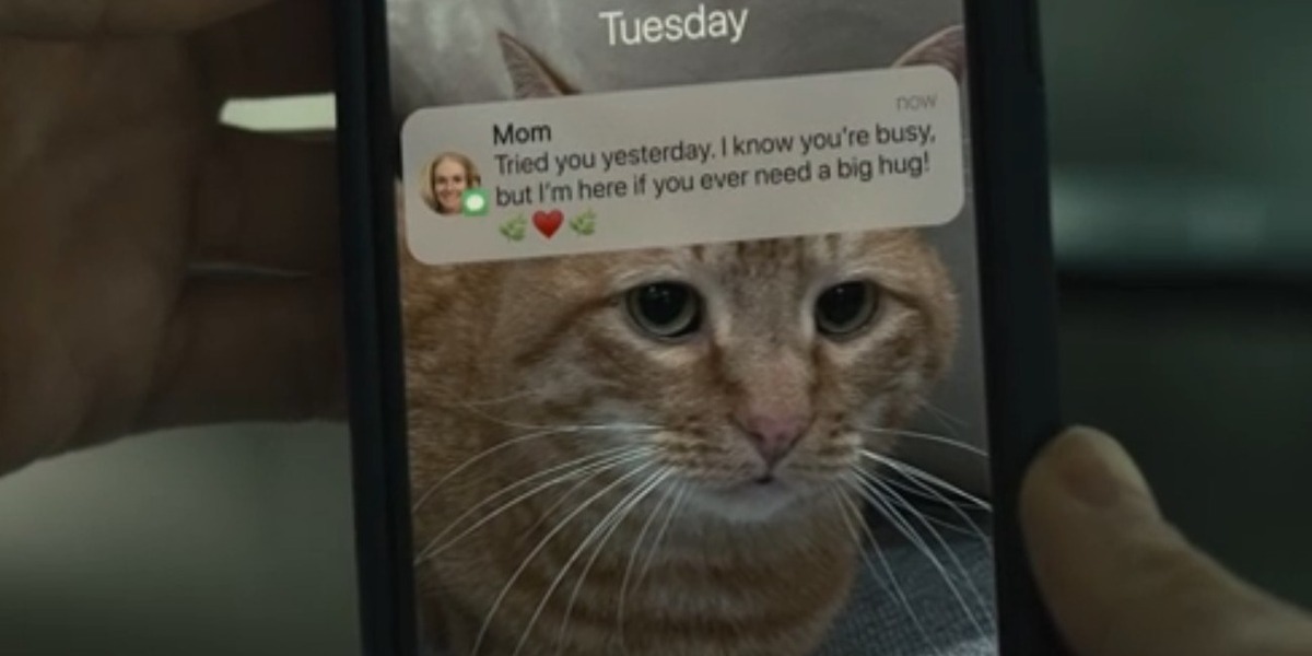 Is the Cat in Somebody I Used to Know Real or CGI? Does Alison Brie ...