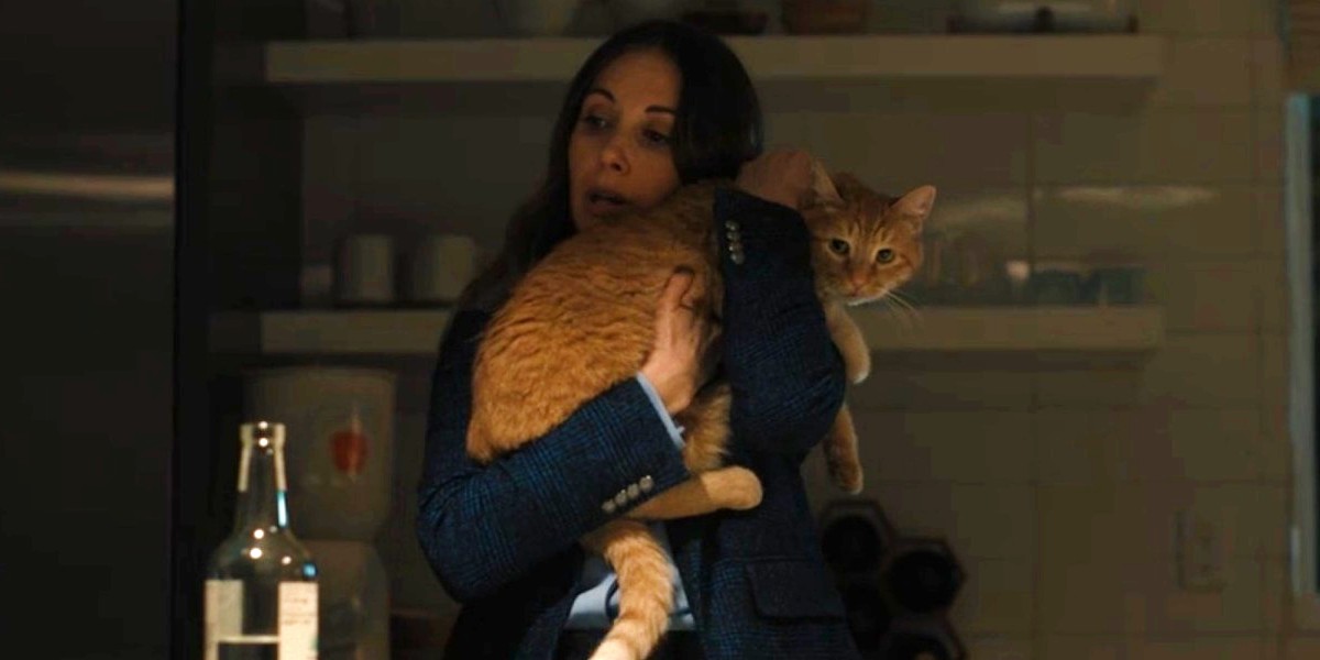 Is the Cat in Somebody I Used to Know Real or CGI? Does Alison Brie ...