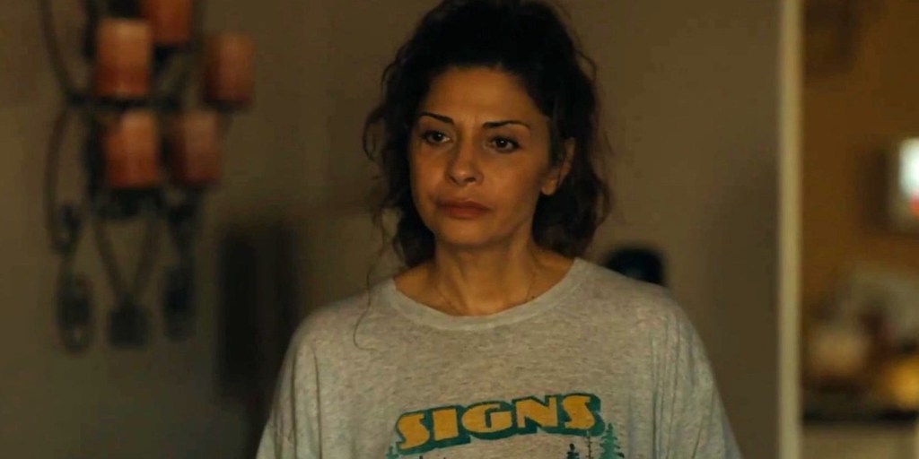 Who Is Allison in Mayor of Kingstown? Will She and Mike End Up Together?