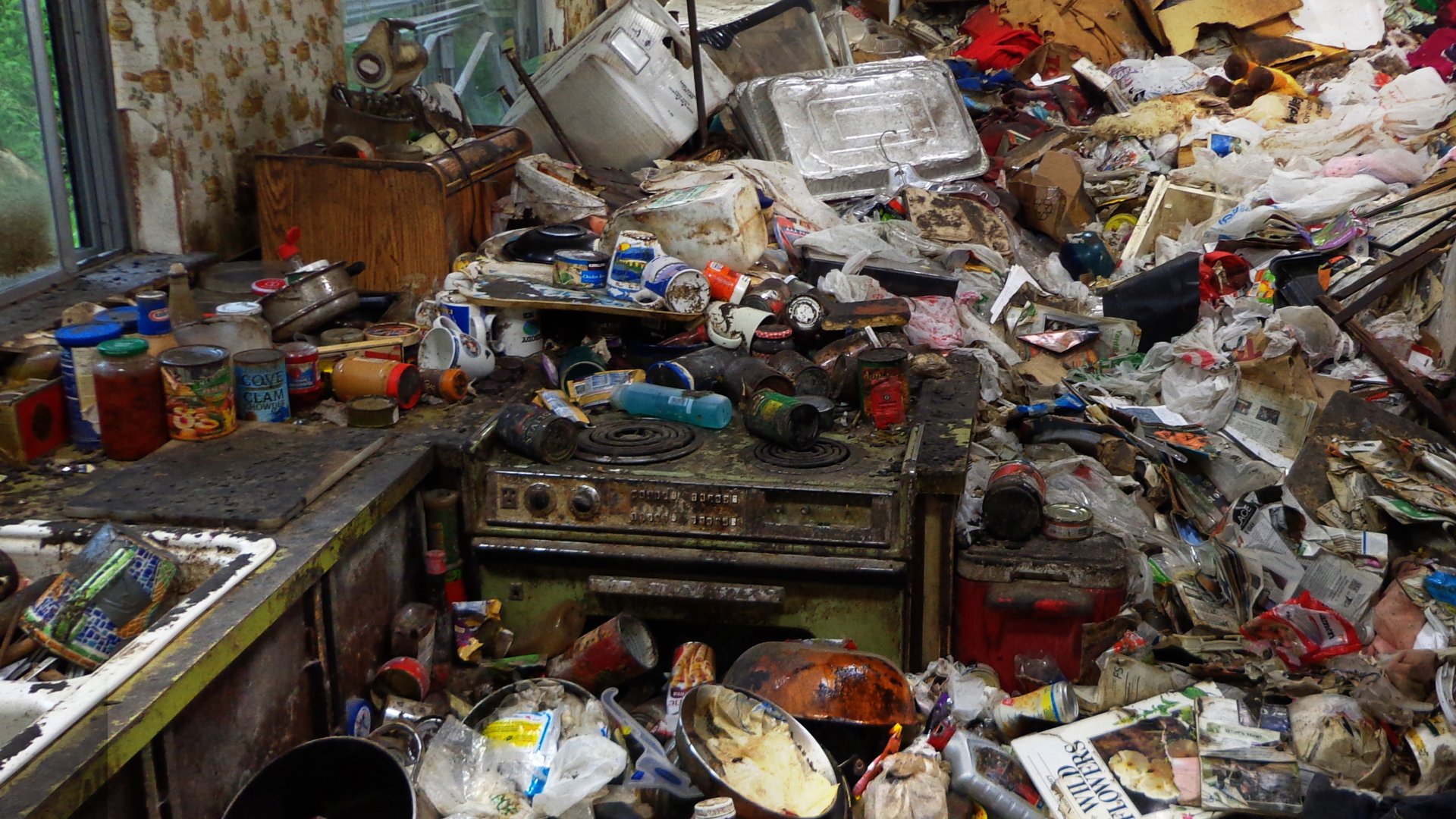 Loved Hoarders? Here Are 7 Shows You Will Also Like
