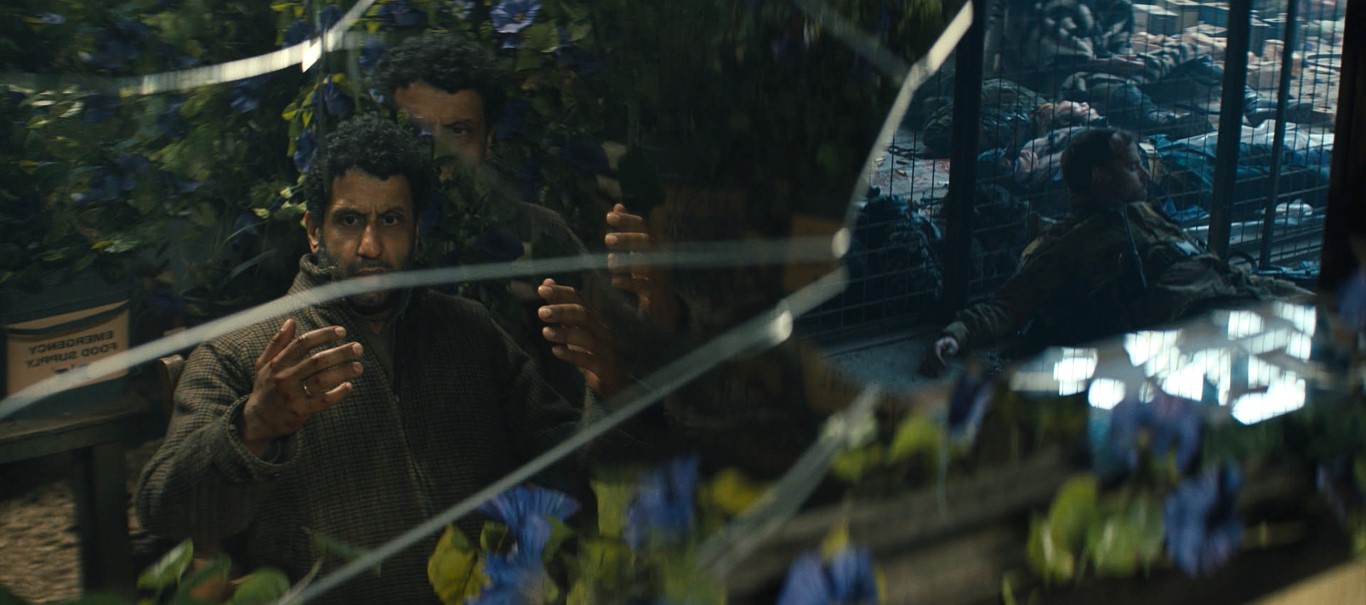 What Are the Purple Flowers in Sweet Tooth, Explained