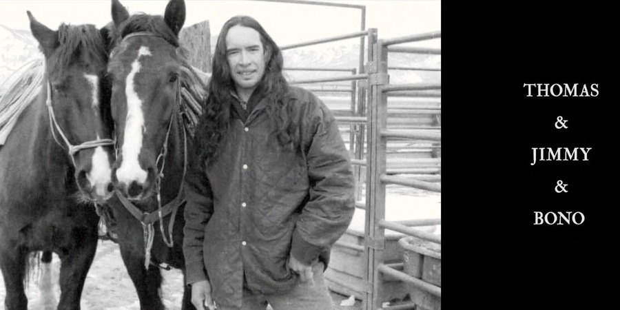 Is The Mustang's Marquis Based on a Real Horse? Is the Wild Horse ...