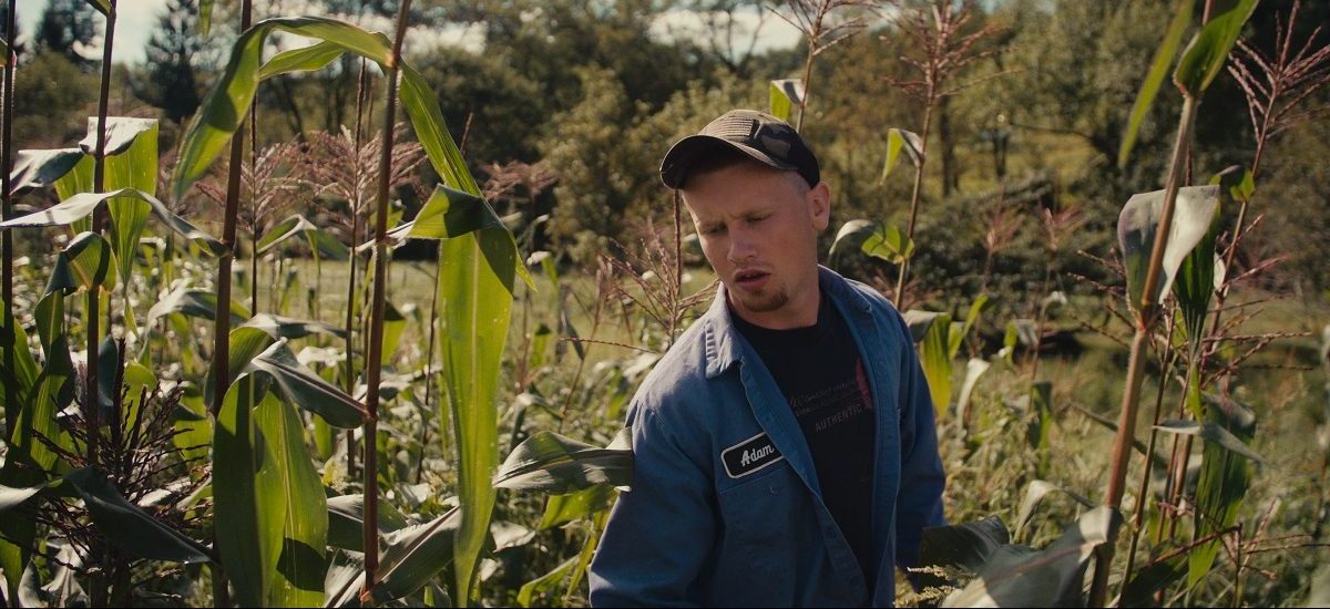 14 Best Movies About Drugs on Netflix Right Now