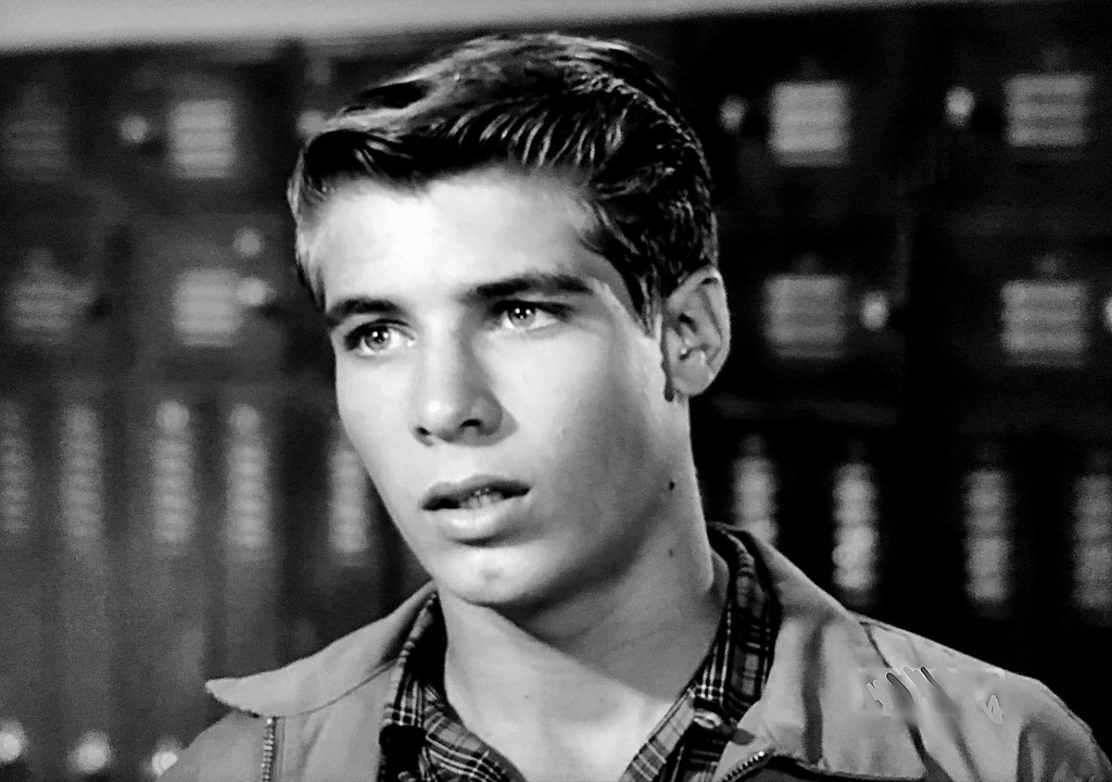 My Three Sons: Where Are The Cast Members Today?