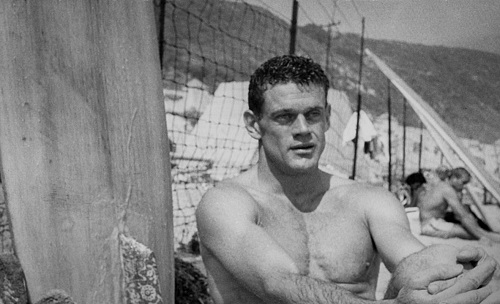 David Webster: What Happened to Him? Was He Ever Found?