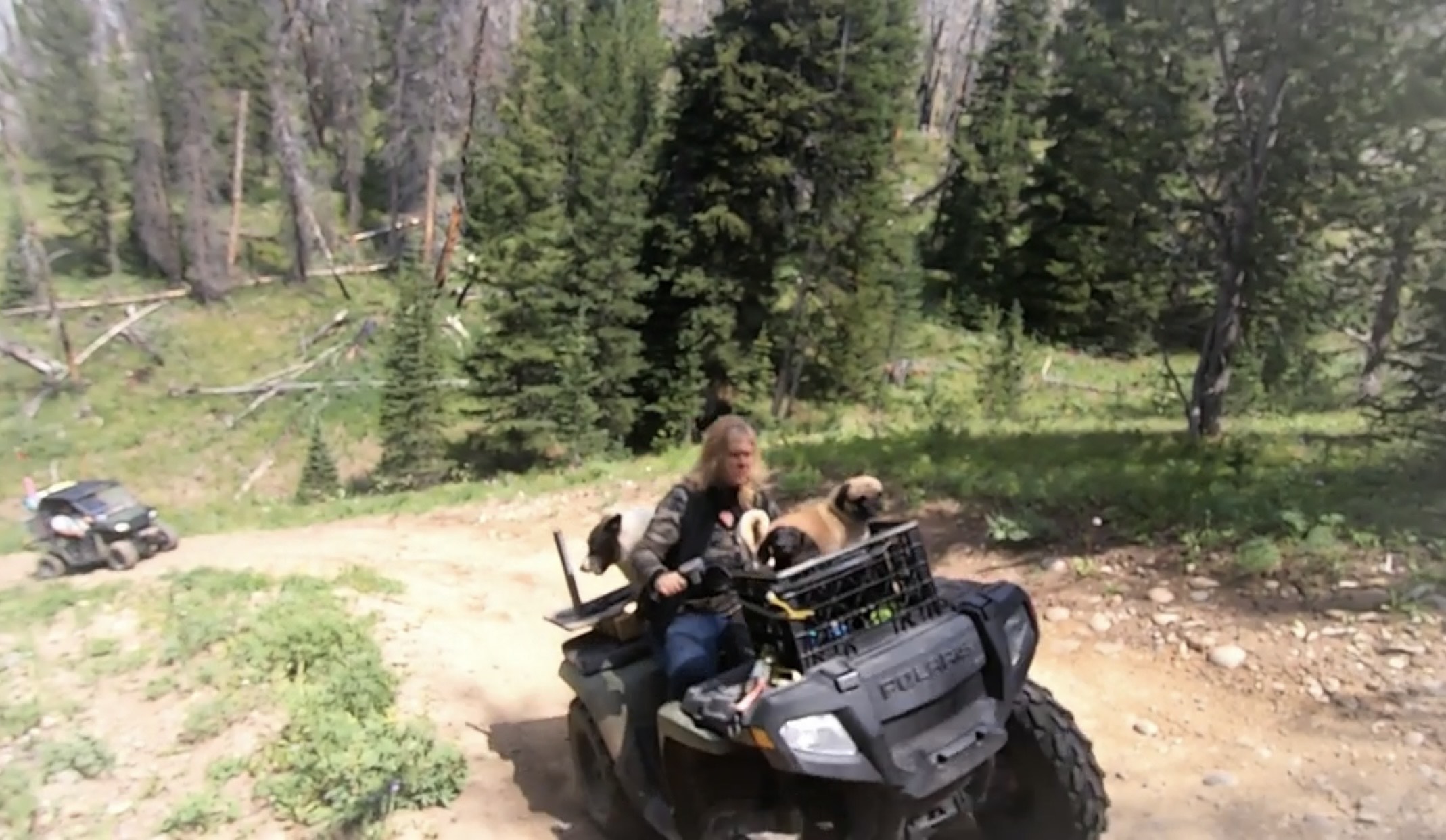 Jodi Rose From Alone: Here's All We Know About Her