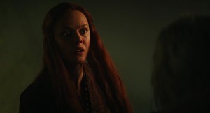 The Witcher: What Happened to Geralt's Mother? How Did Visenna Die?