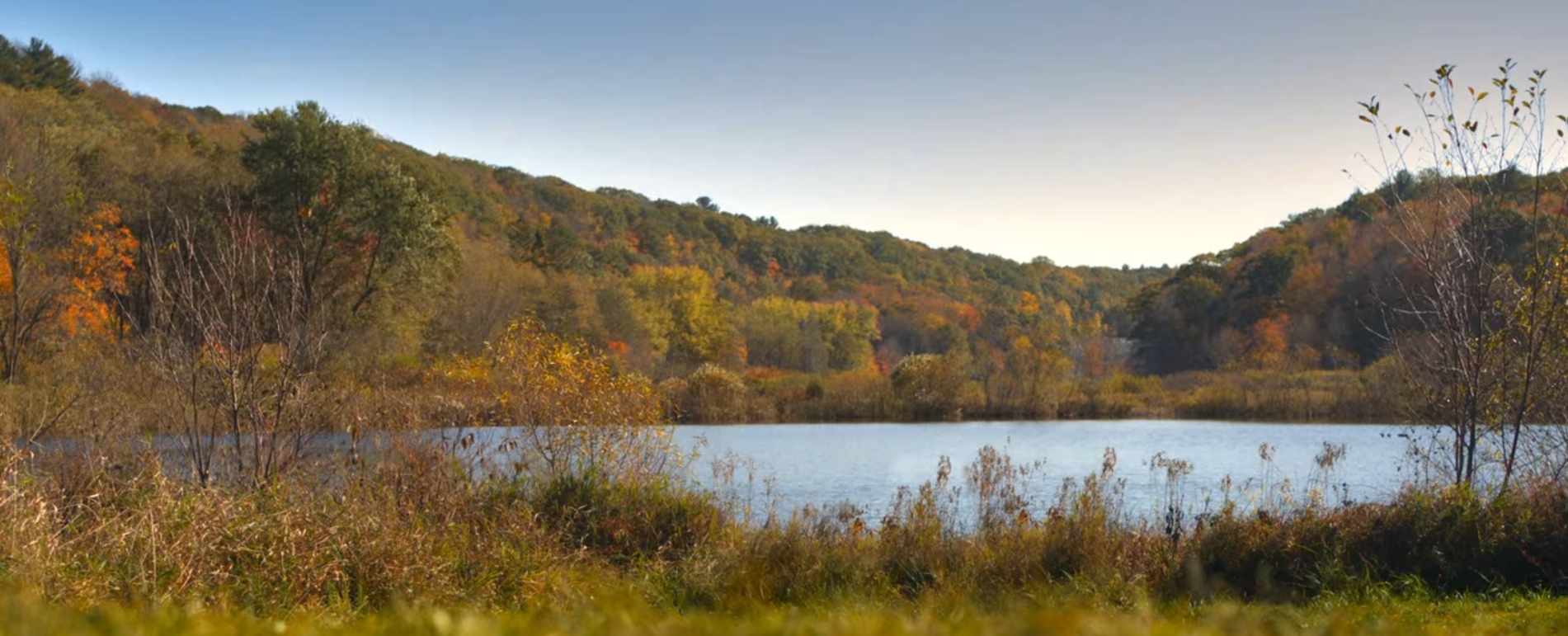 Happiness for Beginners: Is the Painted Meadow a Real Place?