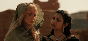 Why Does Ciri Call Herself Falka at the End of The Witcher Season 3?