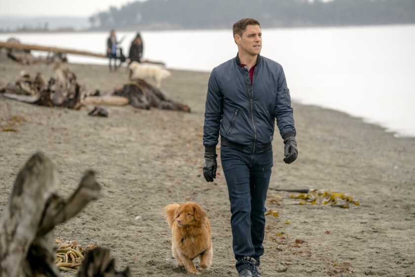 Puppy Love: Here Are 8 Similar Movies You Must Watch Next