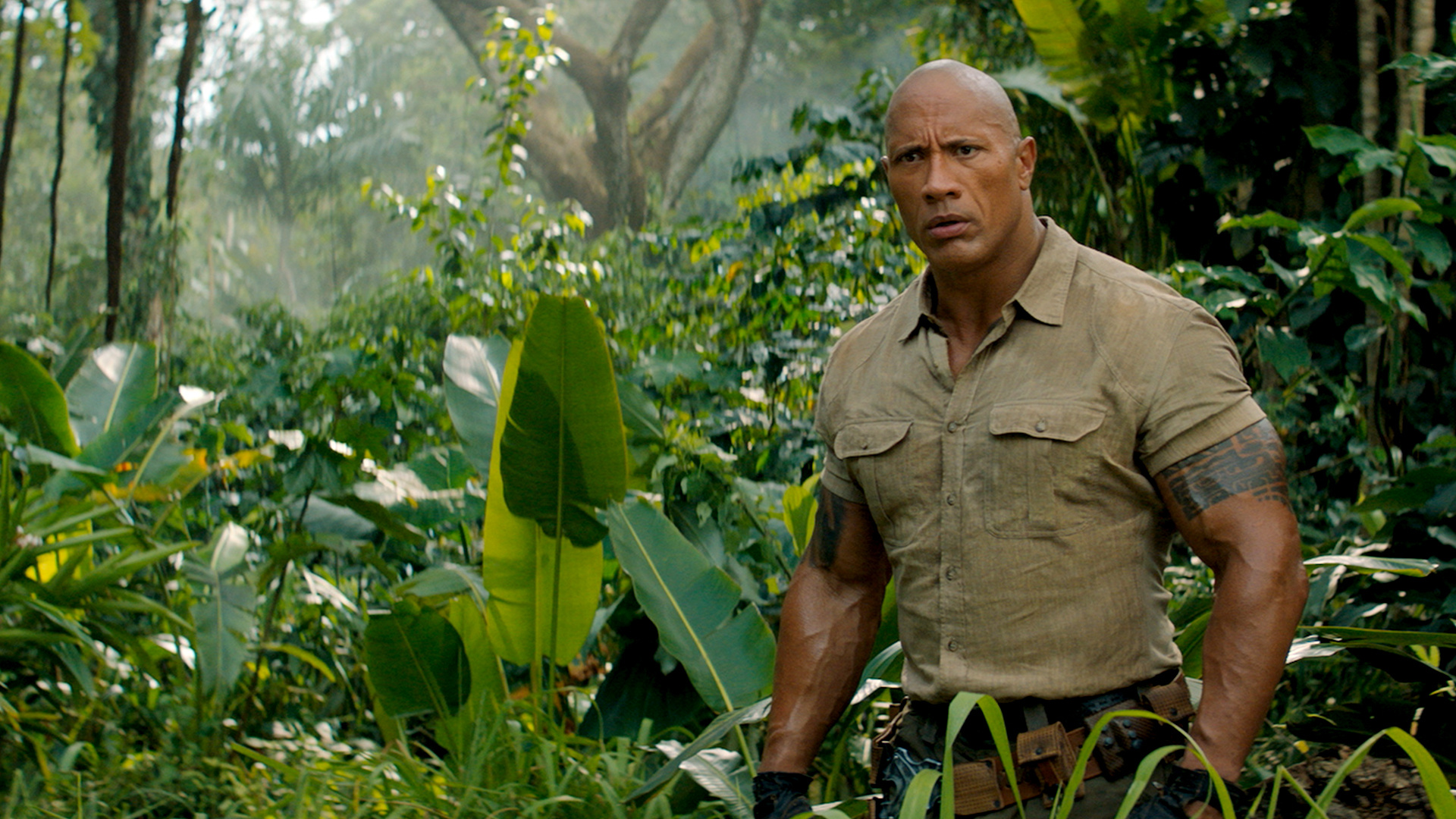 Dwayne Johnson: New The Rock Movies in 2025 and 2026
