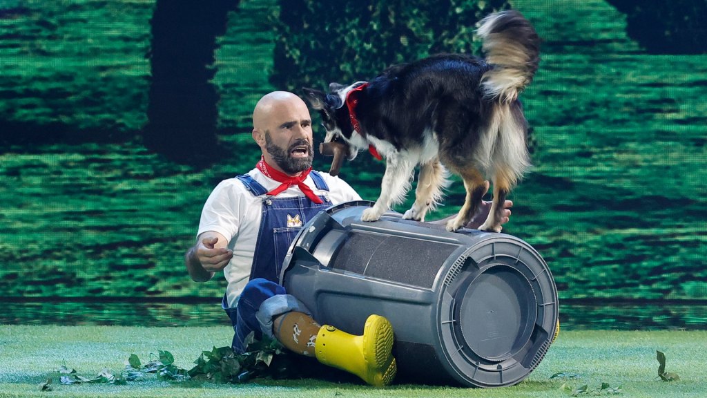 Adrian Stoica and Hurricane: Where Are AGT Season 18 Winners Today?