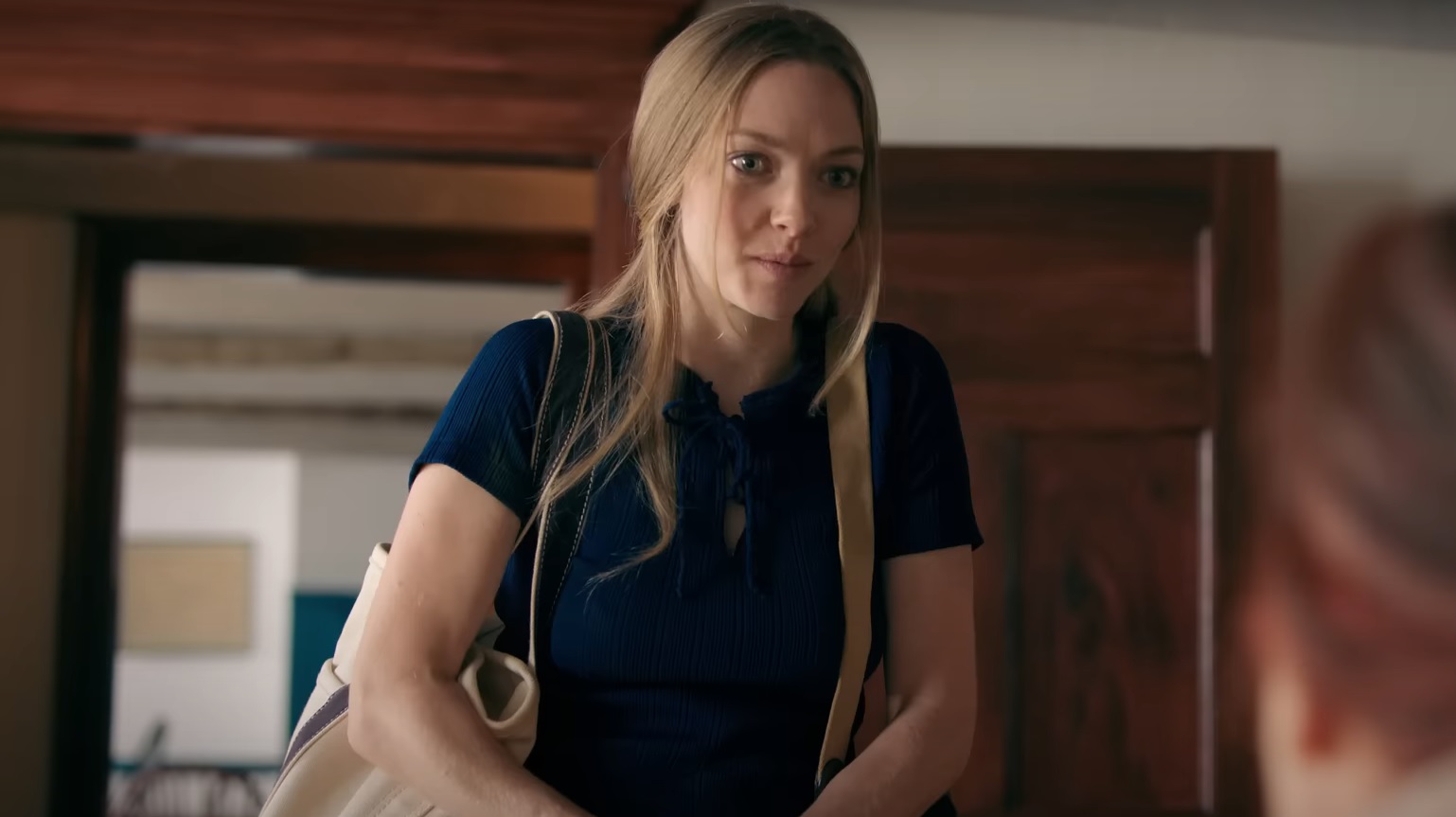 Amanda Seyfried: New Movies and Shows in 2025 and 2026