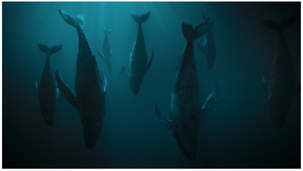 The Swarm: Exploring Filming Details of The CW Show