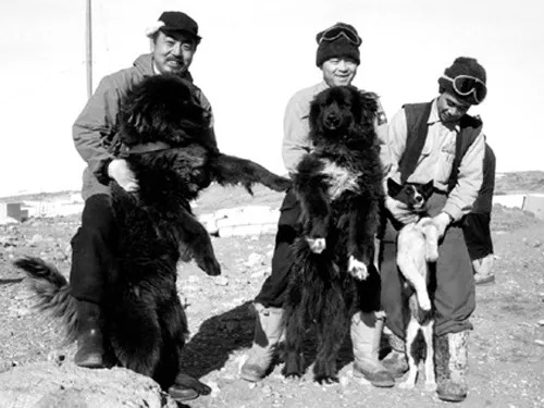 Eight Below: Is the Movie Inspired by a Real-Life Survival Story?