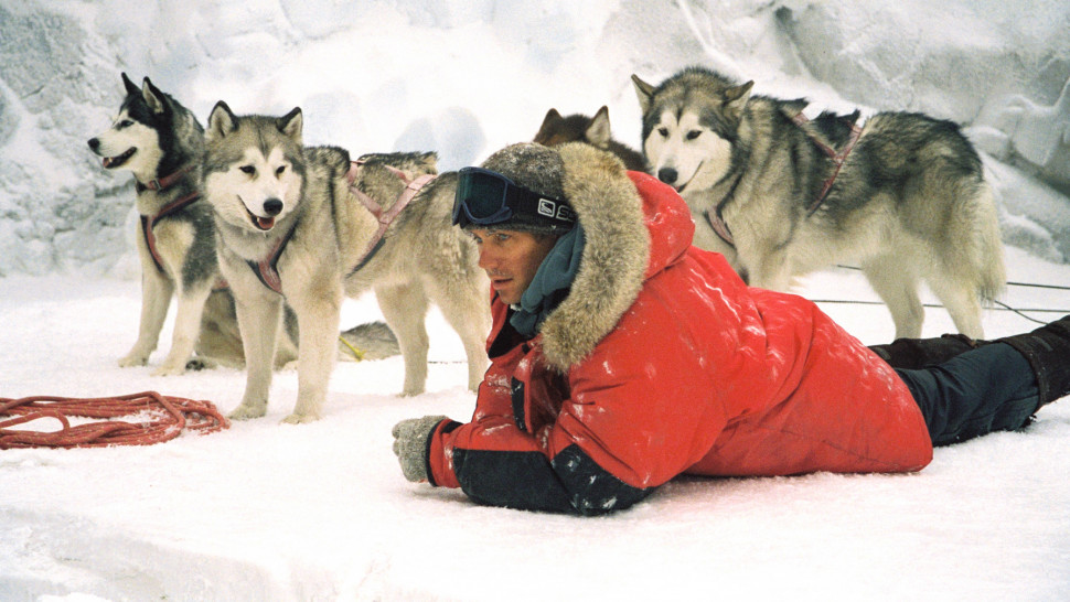 Eight Below: Is the Movie Inspired by a Real-Life Survival Story?