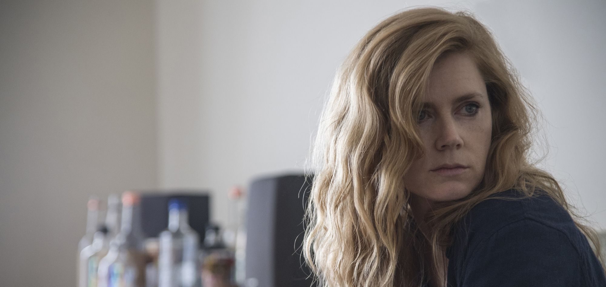 Amy Adams: New Movies and TV Shows in 2025 and 2026