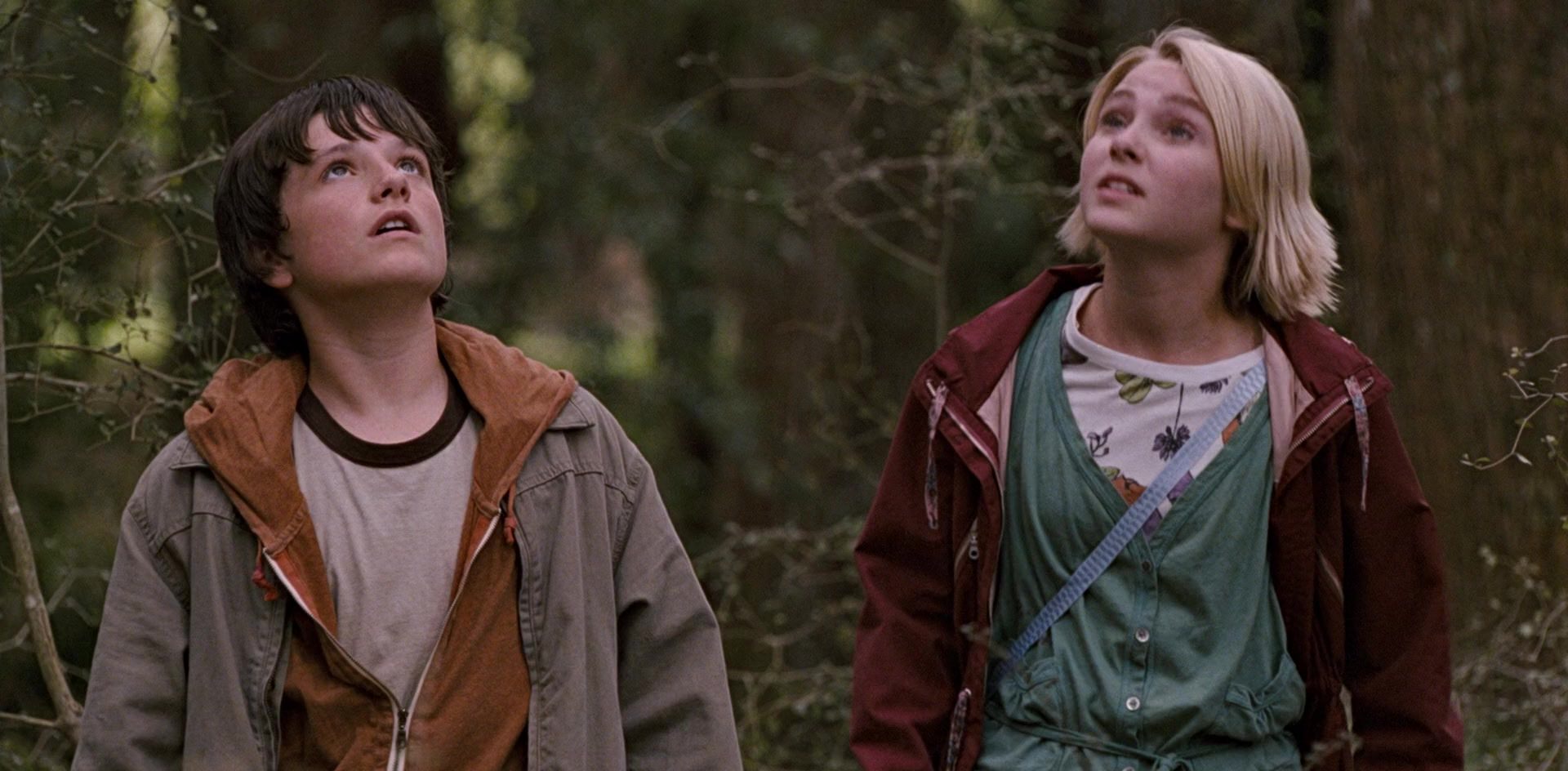Is Bridge To Terabithia Inspired By A True Story Or A Novel