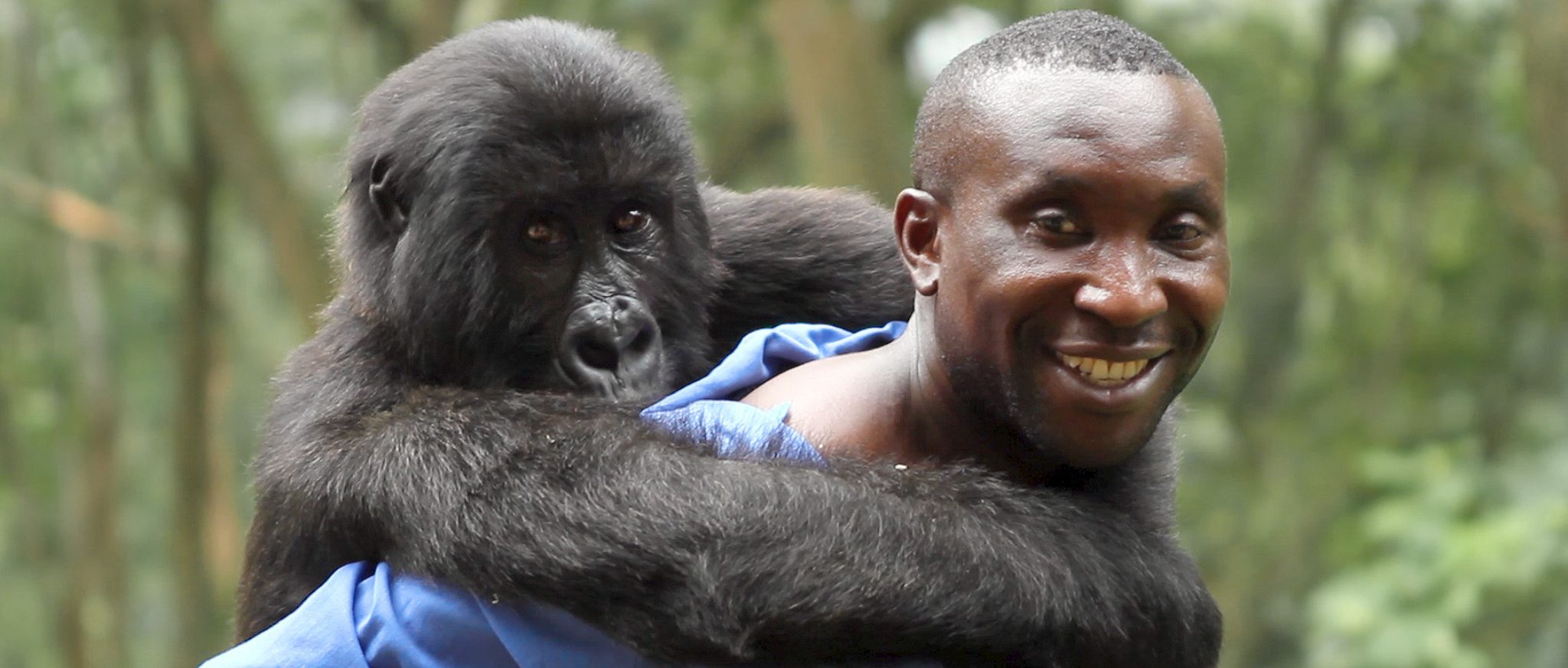 15 Best Animal Documentaries on Netflix Right Now