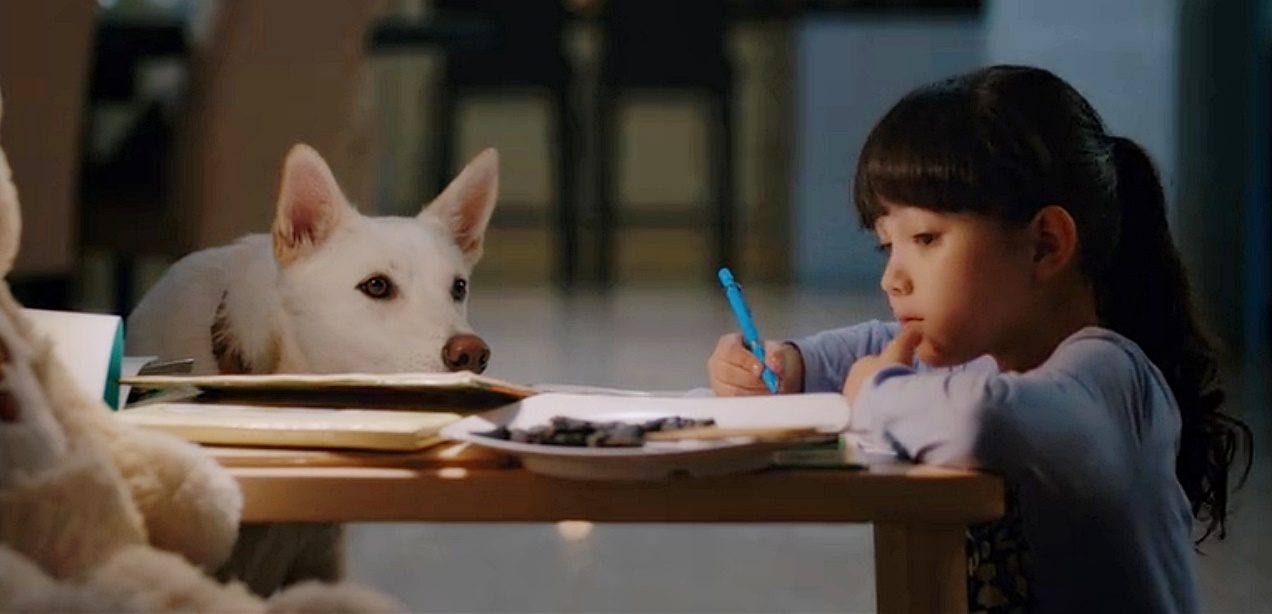 15 Best Dog Movies on Netflix Right Now