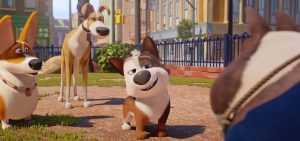 13 Best Dog Movies on Netflix Right Now