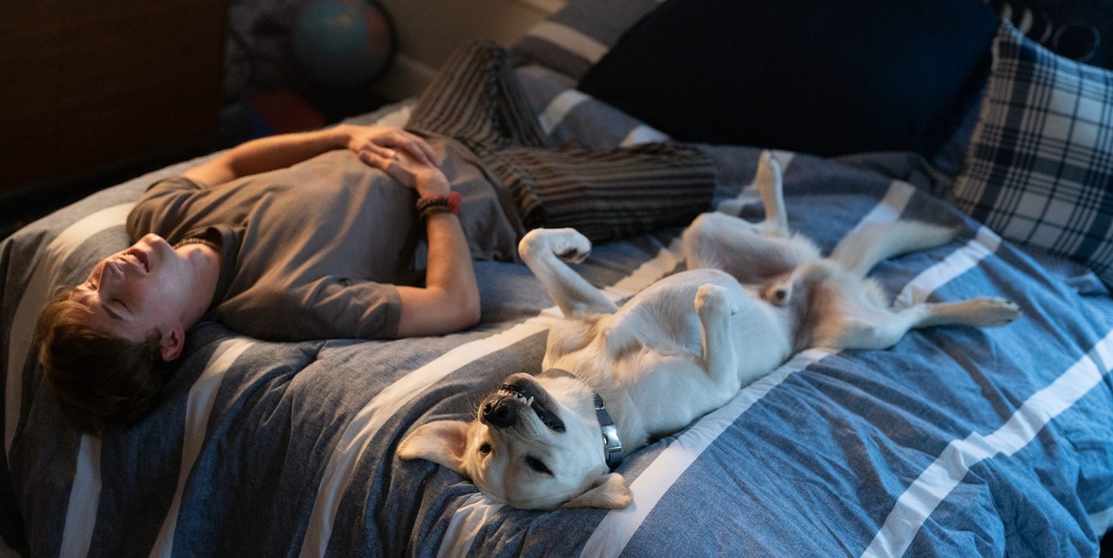 14 Best Dog Movies on Netflix Right Now