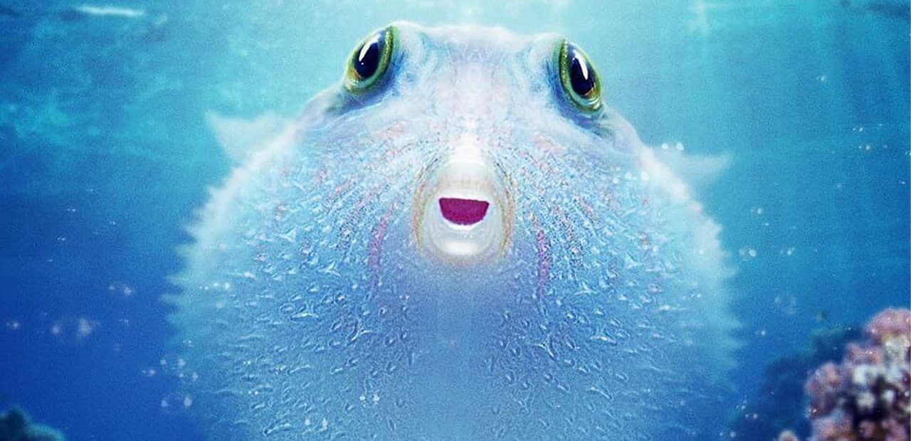 11 Best Fishing Shows and Movies on Netflix Right Now