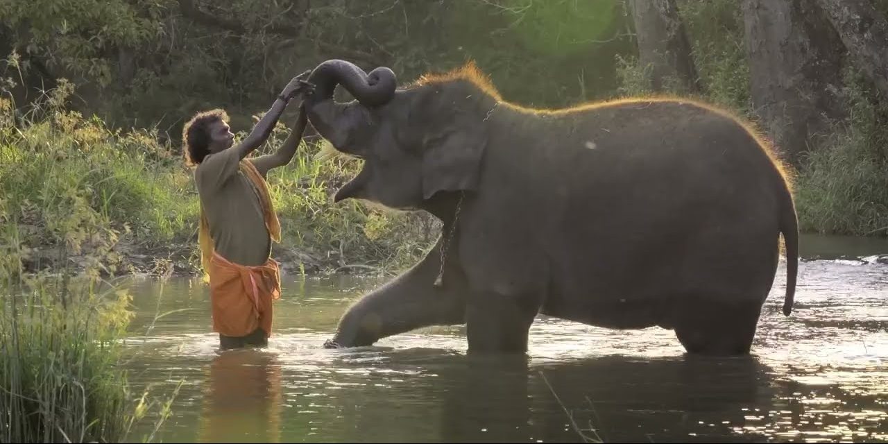 37 Best Short Films on Netflix Right Now