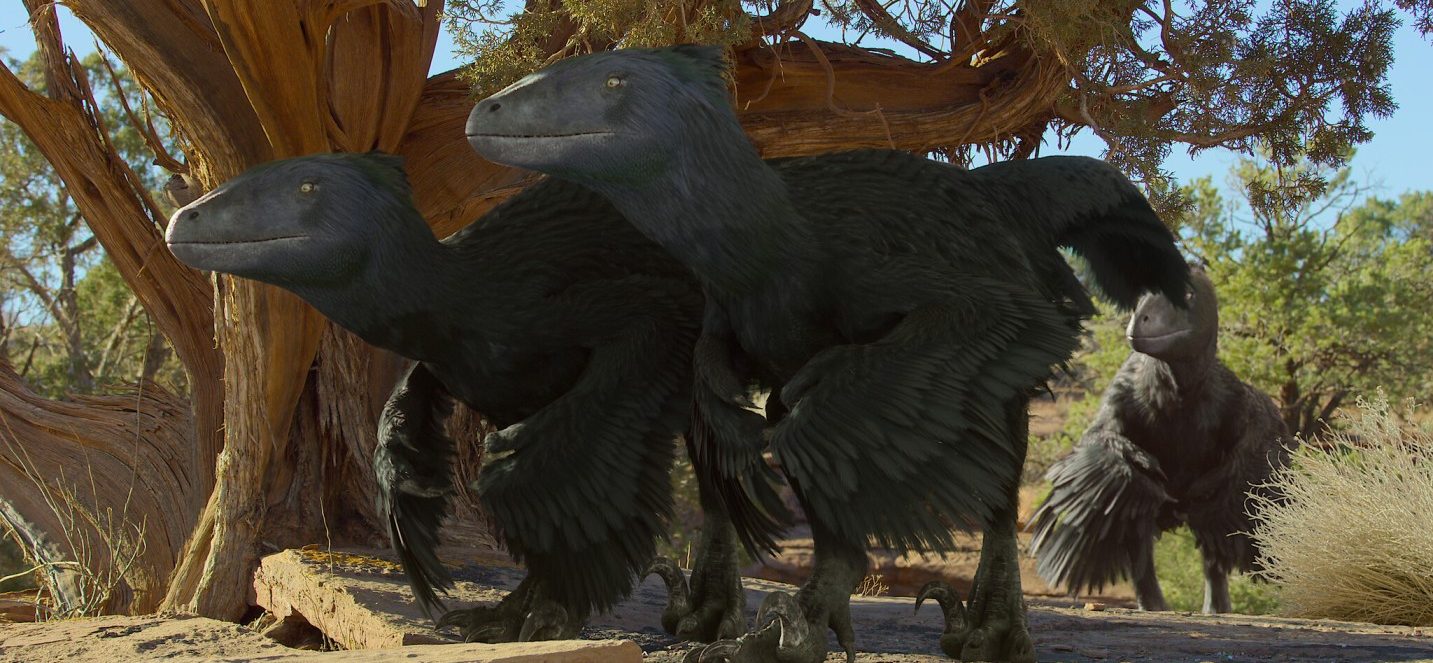 16 Best Animal Documentaries on Netflix Right Now