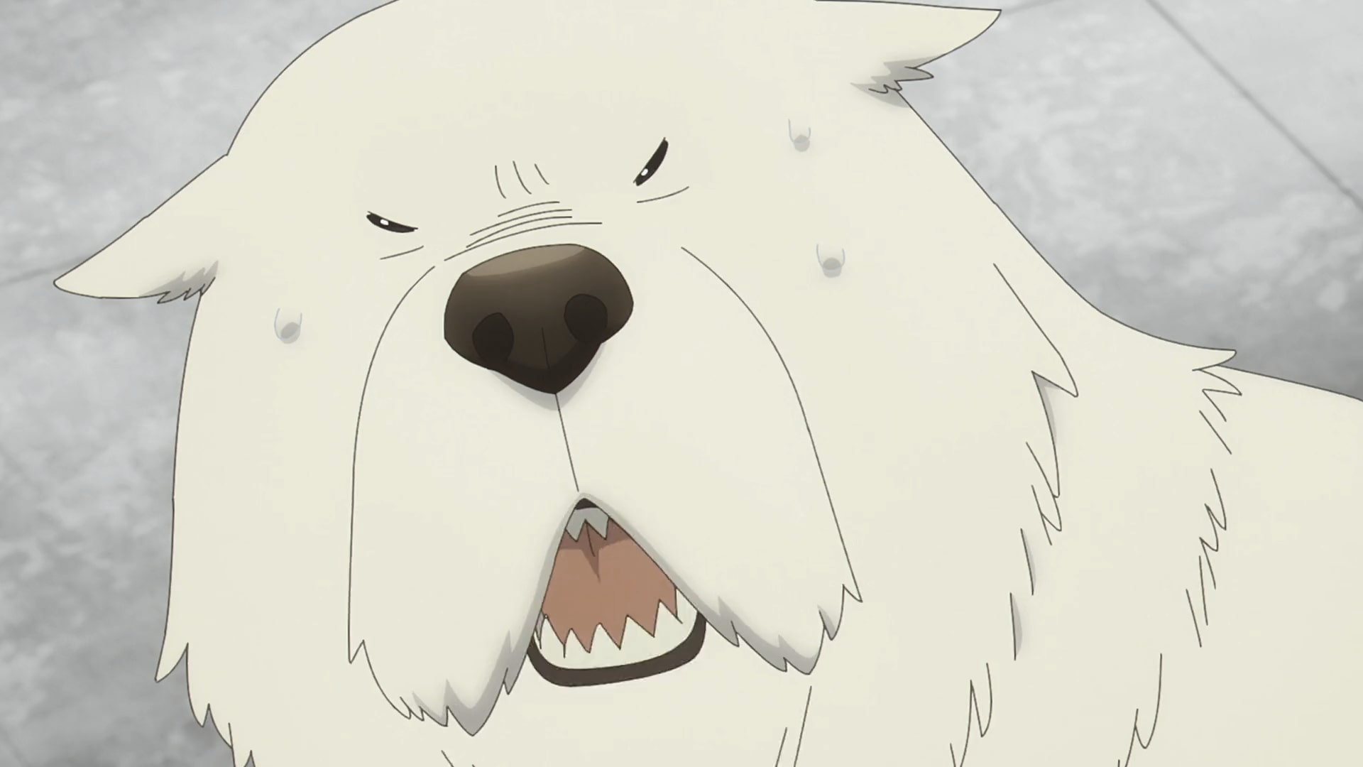 Spy x Family Season 2 Finale Recap and Ending, Explained - The Cinemaholic