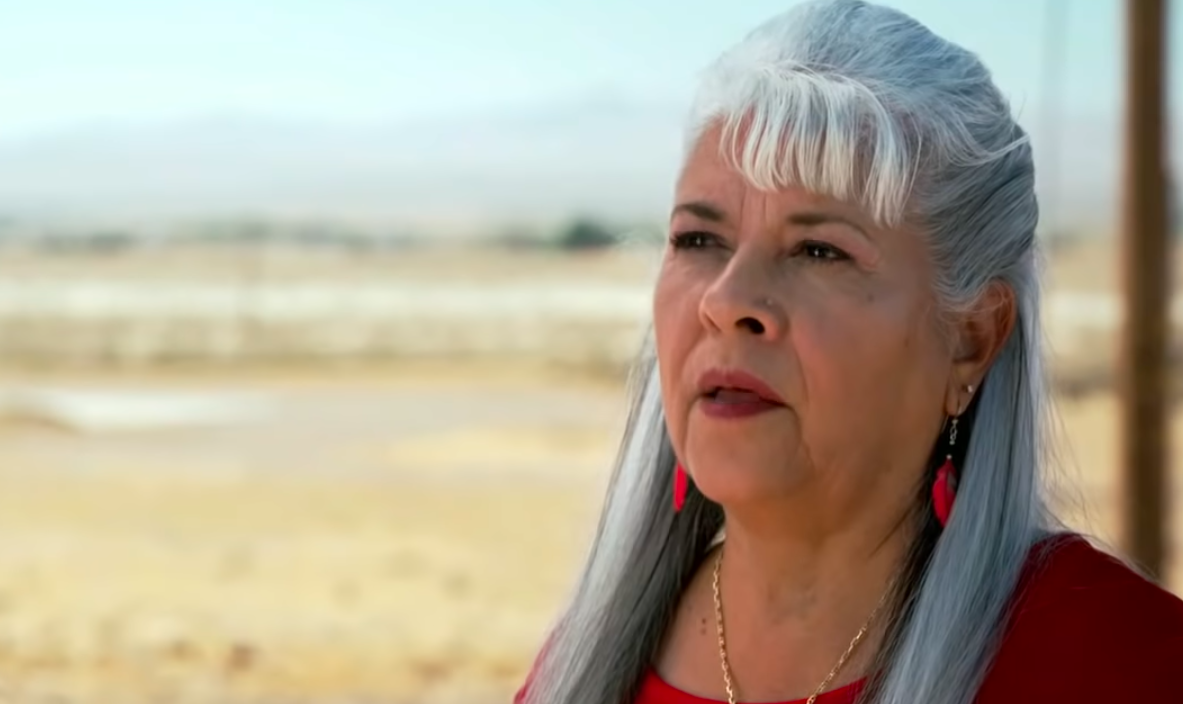 Erin Brockovich: Are Donna Jensen and Pamela Duncan Based on Real People? Where are They Today?