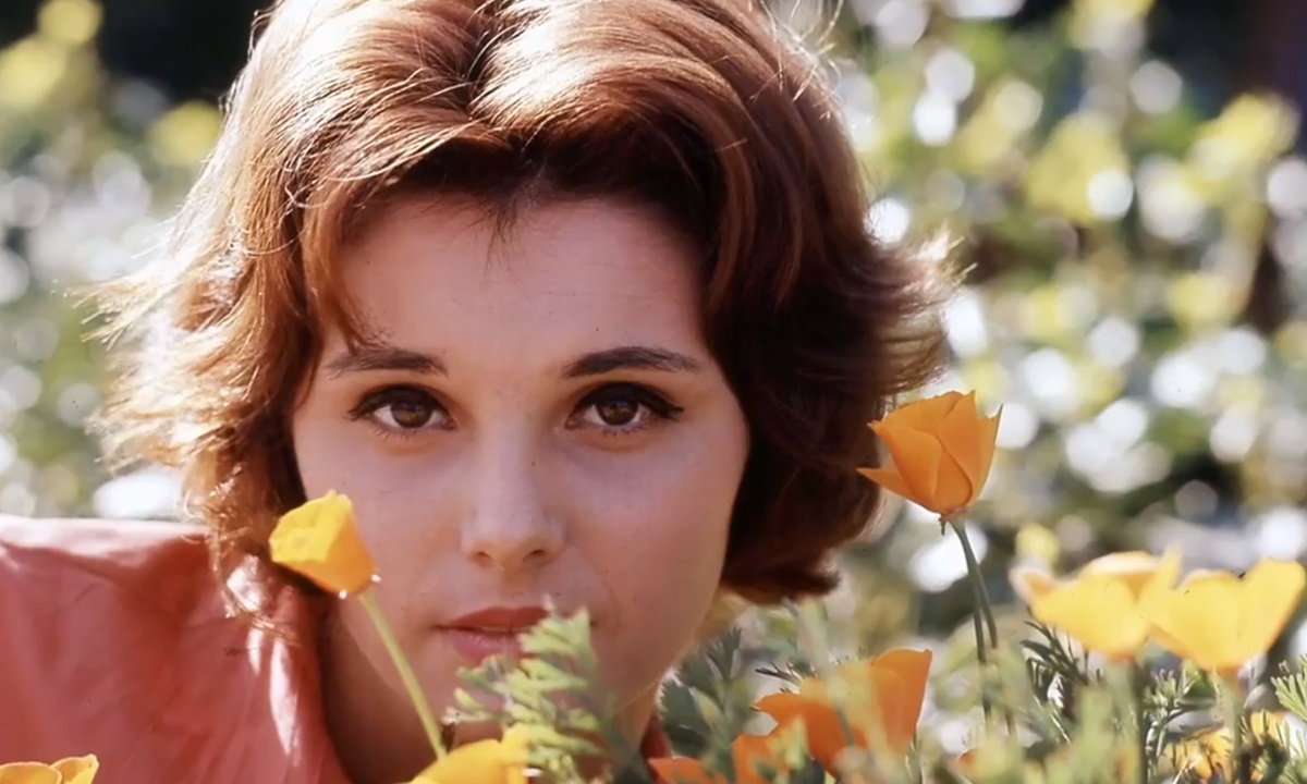 Victoria Vetri: Where is the Former Playboy Model Today?