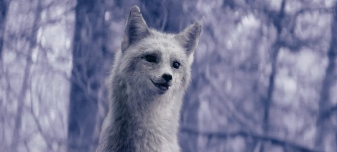 Netflix's Avatar The Last Airbender: Is Princess Yue the Three-Tailed Fox?