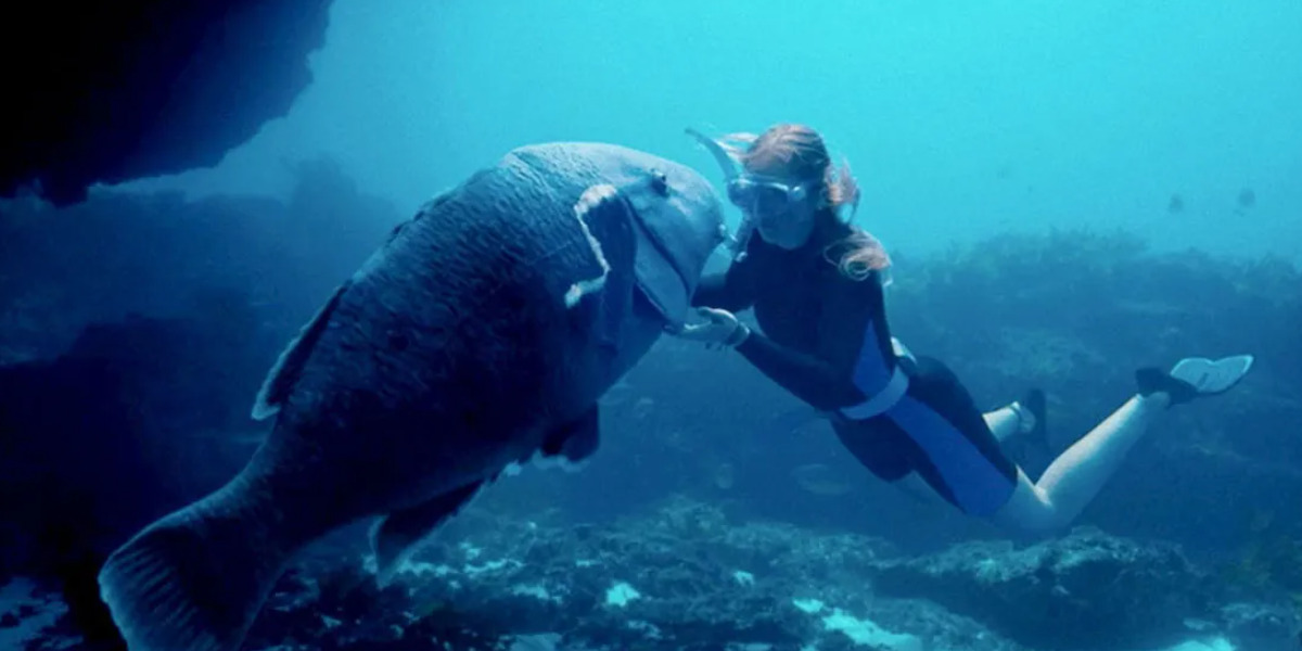 Is Blueback The Groper Real or CGI?