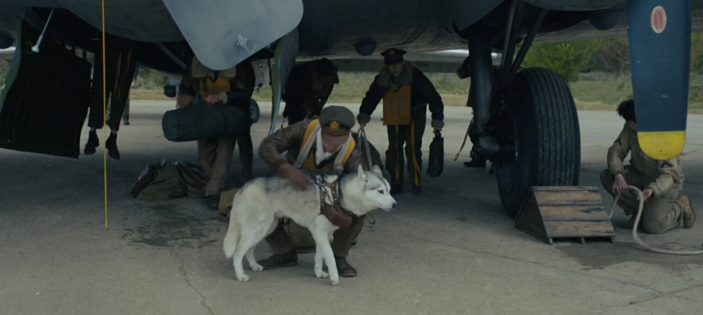 Masters of the Air: Was Meatball a Real Dog in the US Air Force? What ...