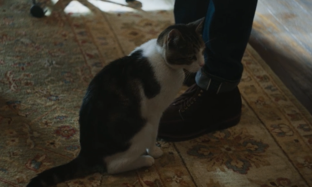 Mr and Mrs Smith: Does Max the Cat Die? Who Killed Him?