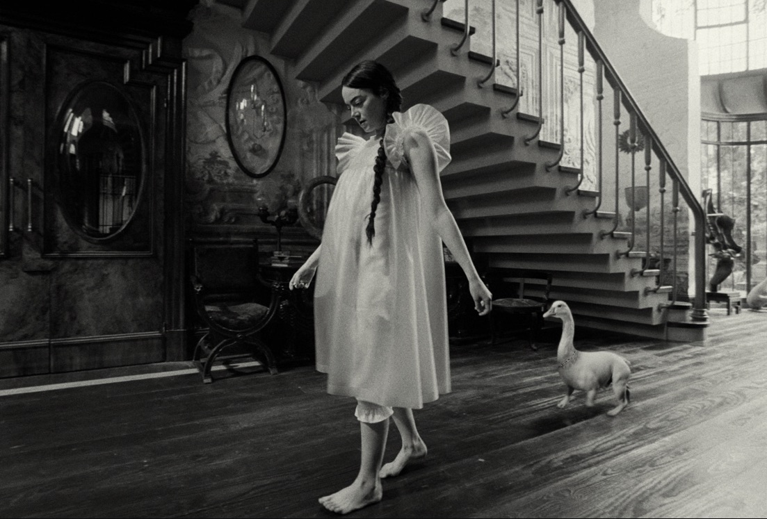 Why is Poor Things in Black and White? Why Does it Change into Color?