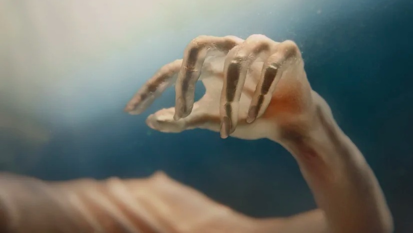 Dehydration in 3 Body Problem, Explained