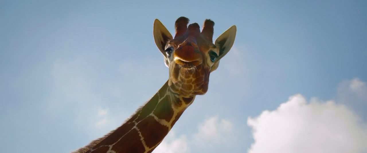 22 Best Documentaries on Apple TV+ Right Now